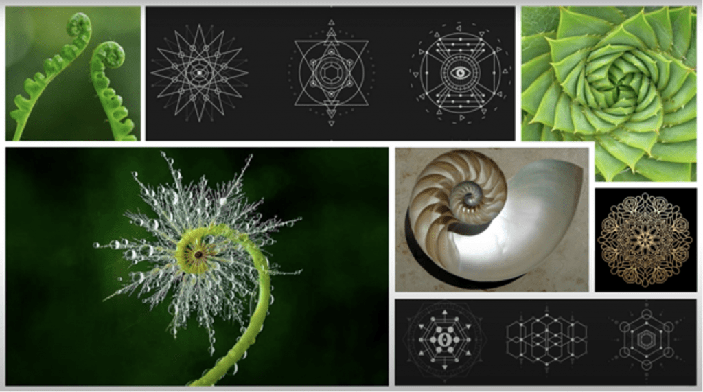 ANSR’s new logo shines light on the future - ANSR